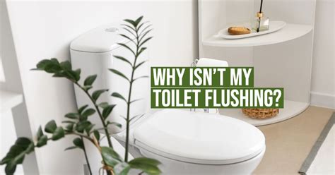 Blog Why Isnt My Toilet Flushing