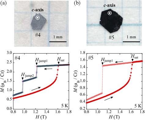 Figure 4 From Surface Barrier Effect As Evidence Of Chiral Soliton