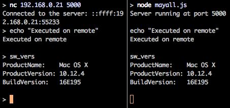 Remote Command And Control Example Through Netcat Download Scientific Diagram