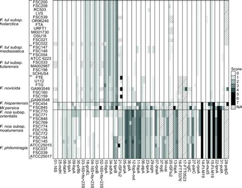 Overview Of Primer Specificity Weighted Score Of Primer Specificity