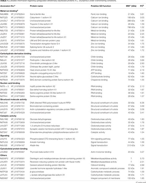 Table 1 From Tmt Based Quantitative Proteomic Profiling Of