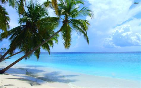 Maldives Wallpapers Wallpaper Cave