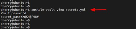 How To Use Ansible Vault To Protect Sensitive Data Cherry Servers