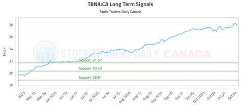 How To Take Advantage Of Moves In Tbnk