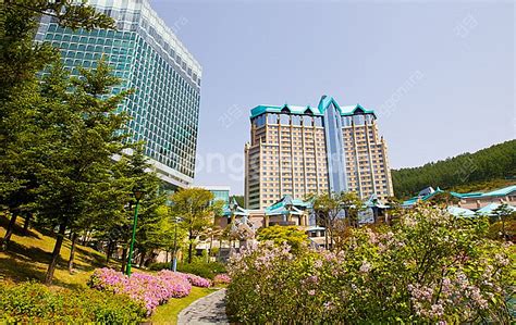 7월21일 하이원리조트 그랜드호텔강원랜드 메인타워 여행숙박이용권 중고나라