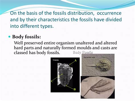 Types Of Fossils And Uses Pptx Geology Science