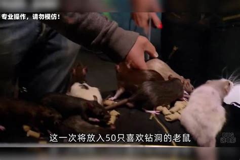 恐惧会散发出焦虑的气味 气味 恐惧 散发出