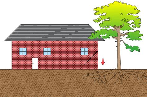 removing trees from your melbourne property arbiter group structural engineers melbourne