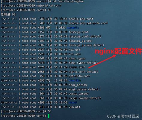 11月30日：linux服务器安装以及部署项目fastadmin部署 Csdn博客