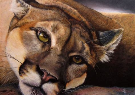 Trinas Trinketts Etsy Finds Friday April Rafko