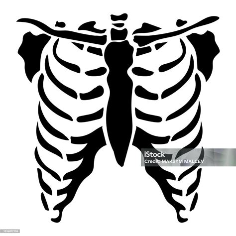 검은 가슴 뼈 공포 또는 할로윈용 티셔츠 프린트 흰색 배경에 격리 된 손 그리기 그림입니다 벡터 Eps 10 T 셔츠에 대한 스톡 벡터 아트 및 기타 이미지 Istock
