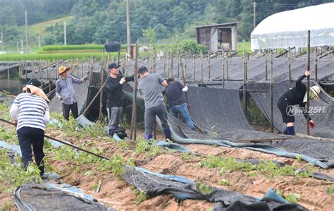 충남도의회 금산지역 집중호우 피해지역 일손 돕기 나서