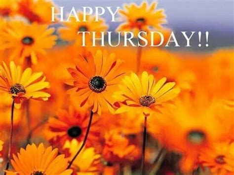 Happy Thursday Flowers Orange Flowers Flower Wallpaper
