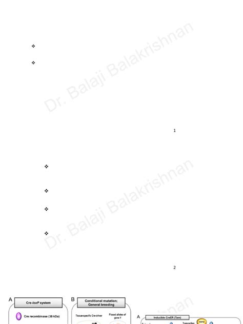 15 Inducible Knock Out Pdf Gene Knockout Molecular Biology