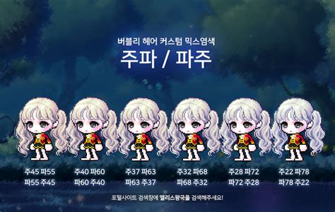 메이플스토리 커스텀 믹스염색 추천 버블리헤어 편 버블리 헤어 커스텀 믹염 비율 메이플 커믹 버블리 믹염 네이버 블로그