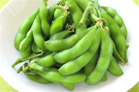 ハムスターにえだまめは食べさせてokだけど要注意！栄養効果と与える時の注意点｜ゴールデンハムスターの幸せを願って