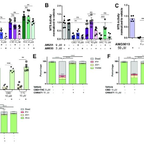 Cannabinoids Mediate Their Effect Through The Trpv1 Cb1 And Pparα Download Scientific Diagram