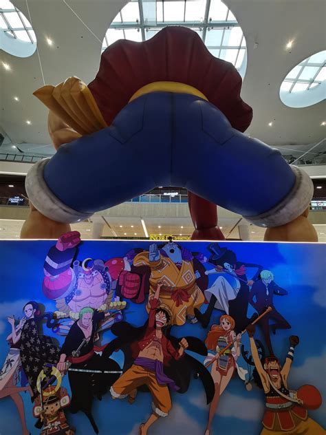 Magandang Meeting Place Sa Ilalim Ng Pwet Ni Luffy Rcasualph