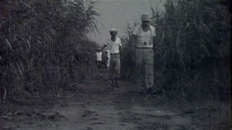 Onibaba The Criterion Collection