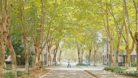 校友卡小程序开发笔记一：可行性调研 知乎