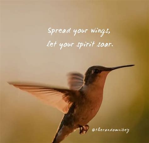 60 Hummingbird Quotes And Sayings To Inspire You The Random Vibez