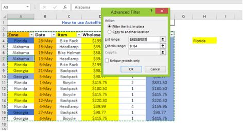 How To Use Autofilter In Excel Excelchat Excelchat