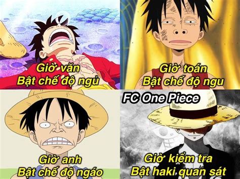 Ghim Của Sakura Trên Ảnh Vui Ảnh Vui Chuyện Cười One Piece
