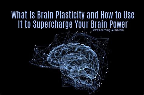 What Is Brain Plasticity And How To Use It To Supercharge Your Brain