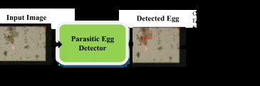 Illustration Of The Proposed Solution For Parasitic Egg Detection And