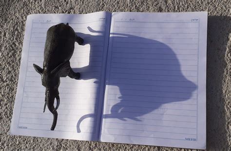 نقاشی سایه ها،پیوند خلاقیت و ابتکار پویش قصه، رنگ، توپ