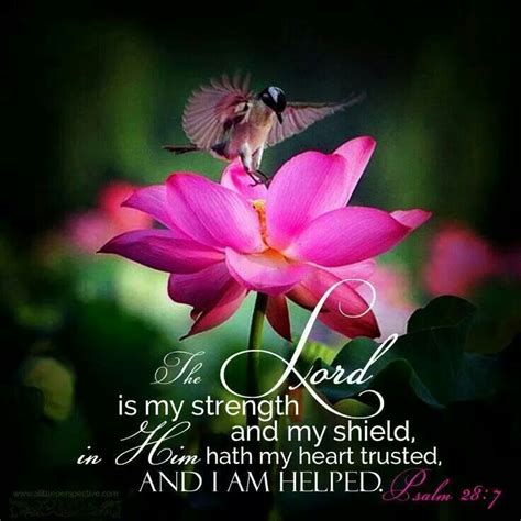 Quotes About Strength Psalm 28 Quotesgram