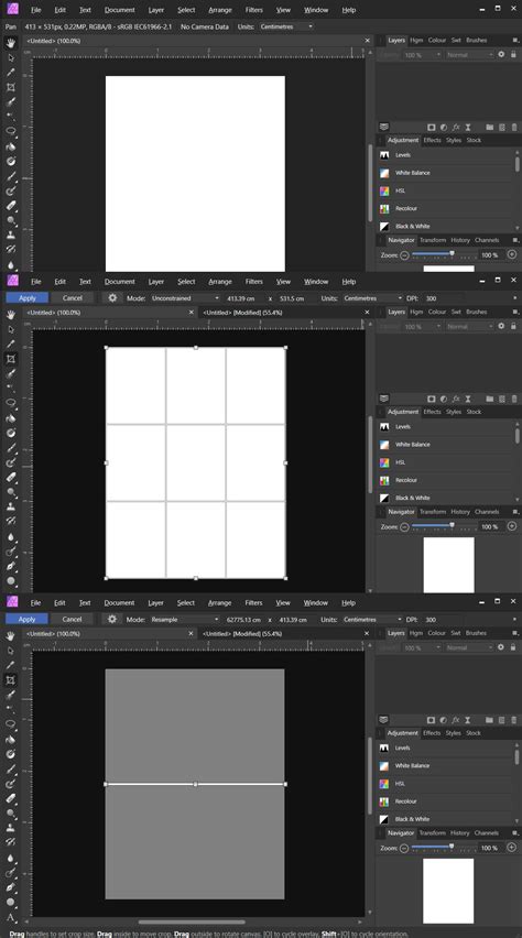 Crop Tool Issue V Bugs Found On Windows Affinity Forum