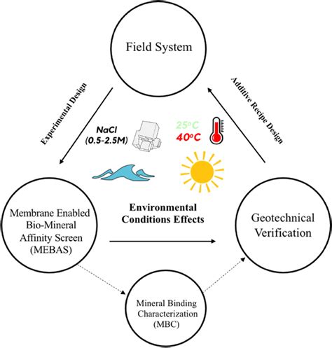 A Schematic Representing The Mebas Mbc Gv Methodological Pipeline For
