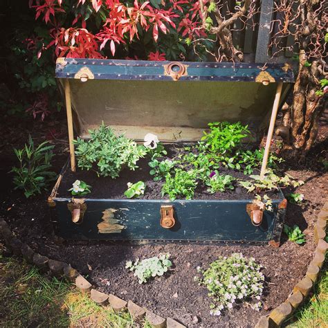 9 Upcycled Planters From Baskets Chests Ideas To Save Today Planters
