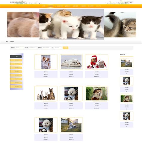 基于springboot流浪猫狗救助救援网站源码文档 Csdn博客