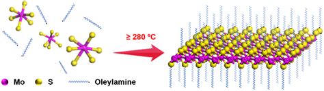 Jacs报道西工大黄维院士团队在二维过渡金属硫族化合物（tmd）材料方面的进展 柔性电子研究院（institute Of Flexible
