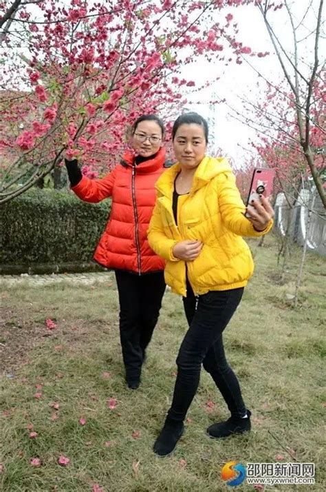 春花開浪起來邵陽最美賞花好去處趕緊收藏 每日頭條