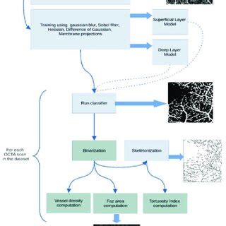 Image Processing Workflow Download Scientific Diagram
