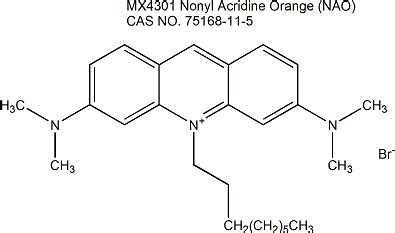 Nonyl Acridine Orange Nao