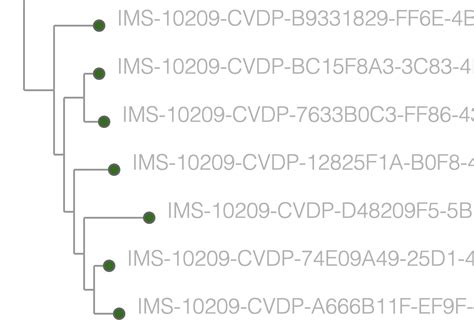 Svg Export From Deckgl Theo Sanderson