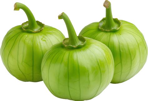 Tomatillo Vegetable Isolated Husk Tomato Clipart Fresh Few Tomatillo Illustration 50031065 Png