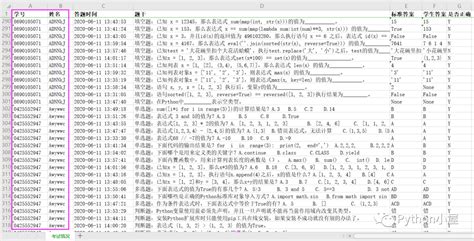 Python使用openpyxl和pandas处理excel文件实现数据脱敏案例一则pandas 处理数据 脱敏 Csdn博客