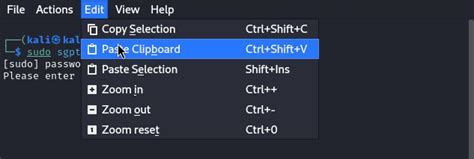 Installing Shell Gpt Sgpt Chatgpt On Kali For Hacking Ai Chatgpt Powered Hacking