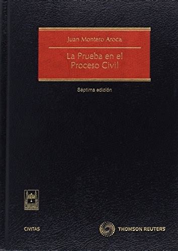 Cuestiones Basicas De La Prueba En El Proceso Civil Cúspide
