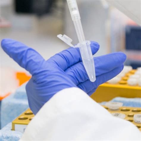 Pbmc Protocol Bruker Cellular Analysis
