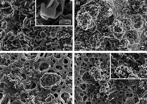 FESEM Images Of Barium Sulfate Particles Obtained After Conductivity