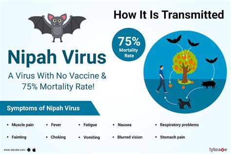 Nipah A Virus With No Vaccine And 75 Mortality Rate By Dr Garima Lybrate Nipah A Virus With No Vaccine And 75 Mortality Rate By Dr Garima Lybrate