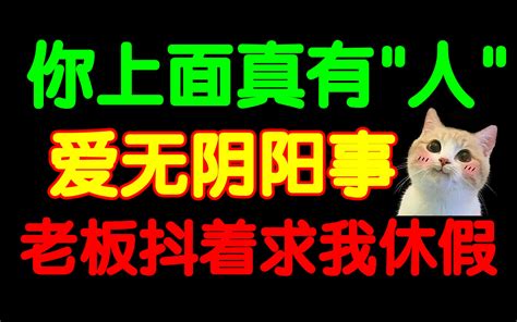 老板抖着求我休假你上面真有 人 爱 百无禁忌黑衣少侠到底是谁超治愈的说话小熊别惹打工人温暖诡事集 狸狸垣上跑 狸狸垣上跑 哔哩哔哩视频
