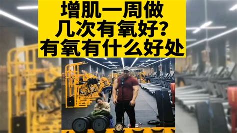 增肌一周做几次有氧好？有氧有什么好处？（练后有氧） Youtube