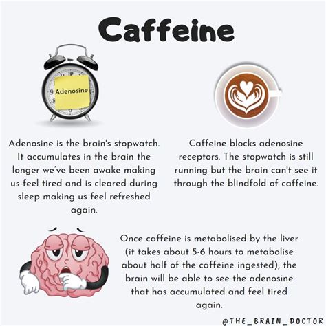 How Caffeine Works Caffeine Energy Drinks Caffeine Alternatives